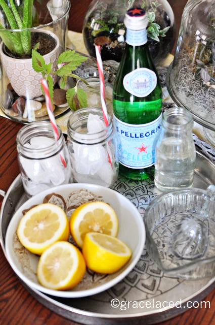 Make It Yourself Sparkling Lemonade Station – GraceLaced