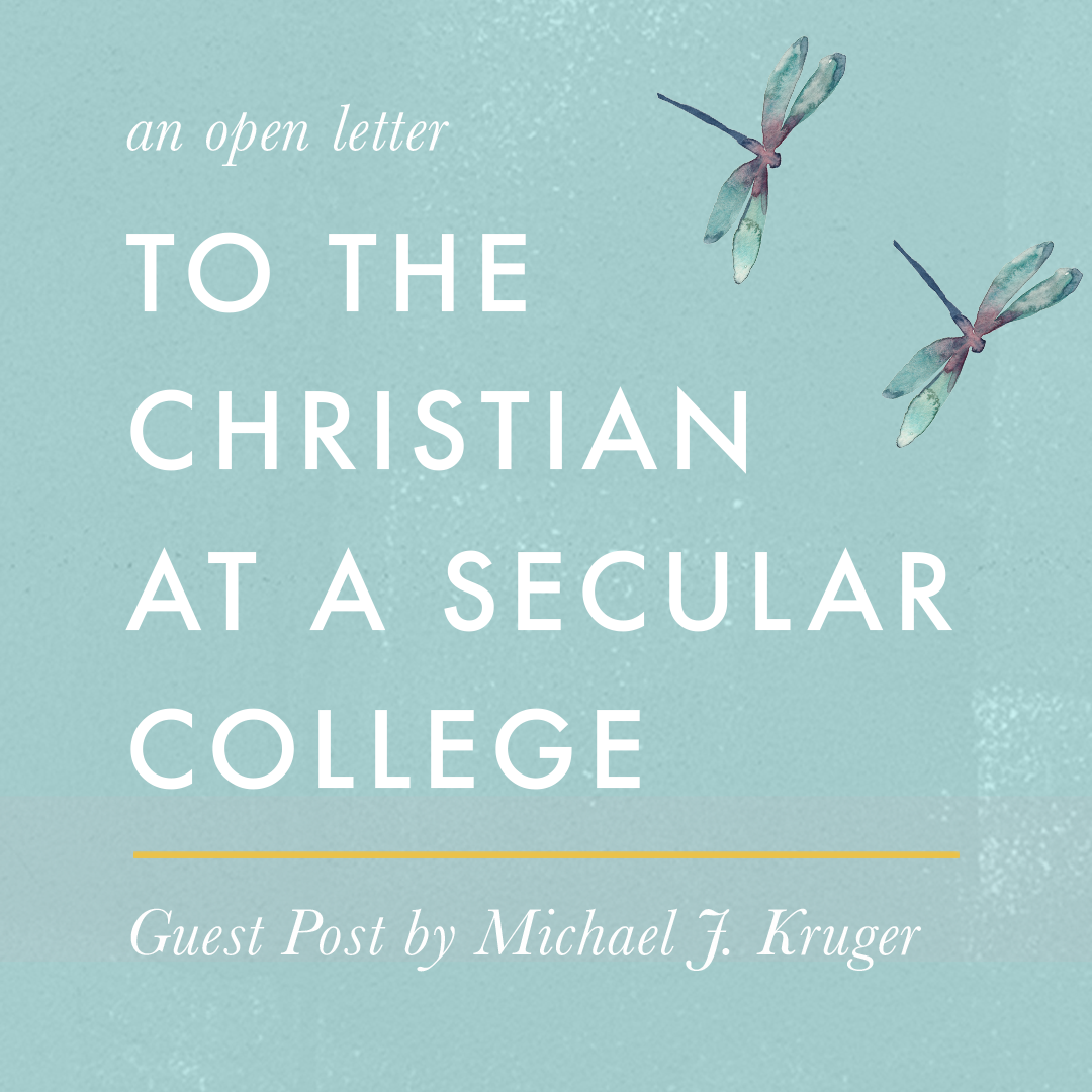 An Open Letter to the Christian at a Secular College – GraceLaced