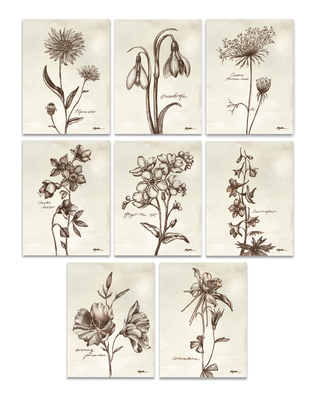 Wildflower Notecards | Do Not Be Anxious Greeting Cards | GraceLaced