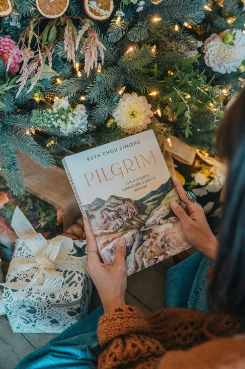 Pilgrim Book {Signed Copy} with FREE Pilgrim Discussion Guide* – GraceLaced