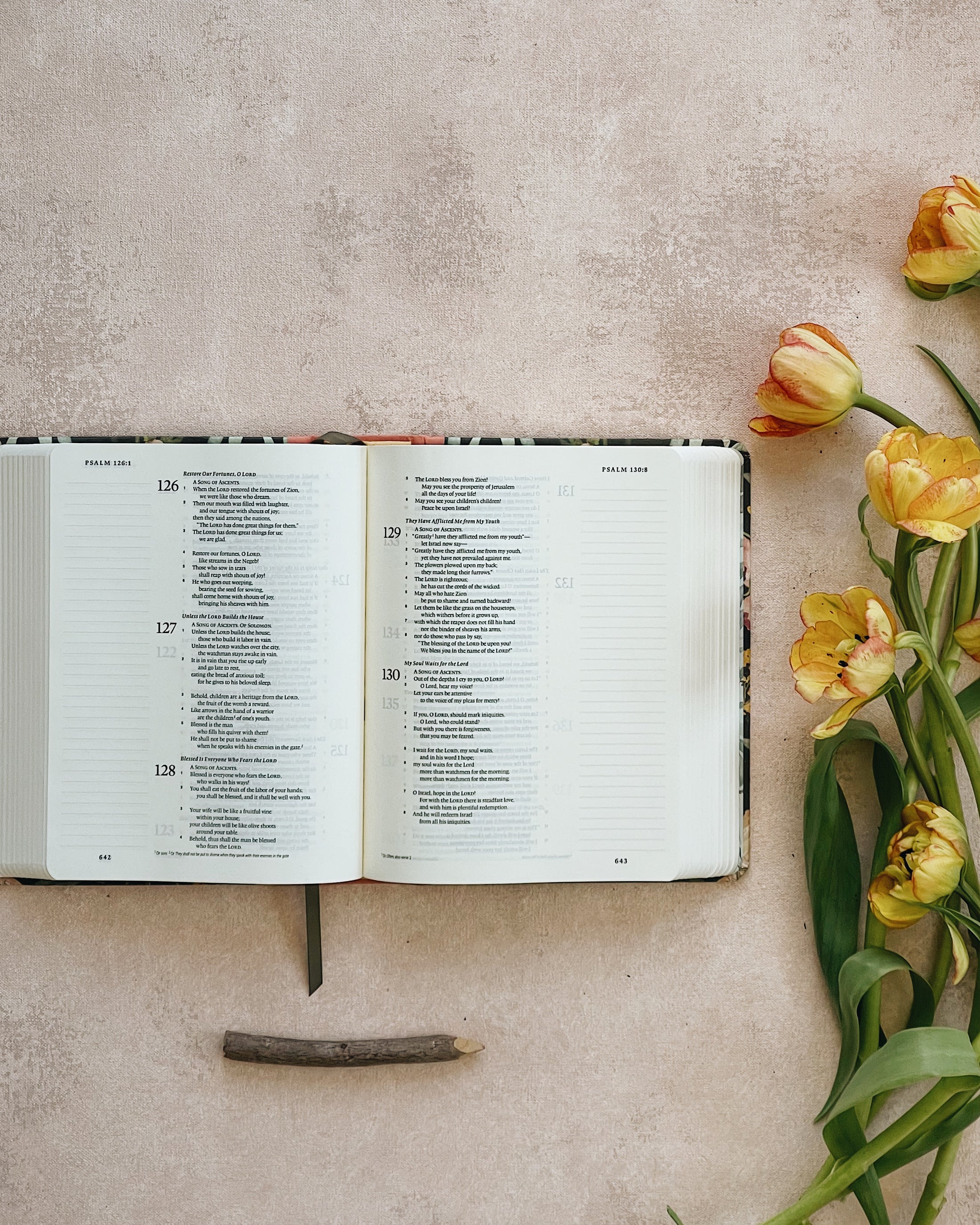 ESV Journaling Bible (“Be Transformed” / Ruth Chou Simons, Artist Seri ...