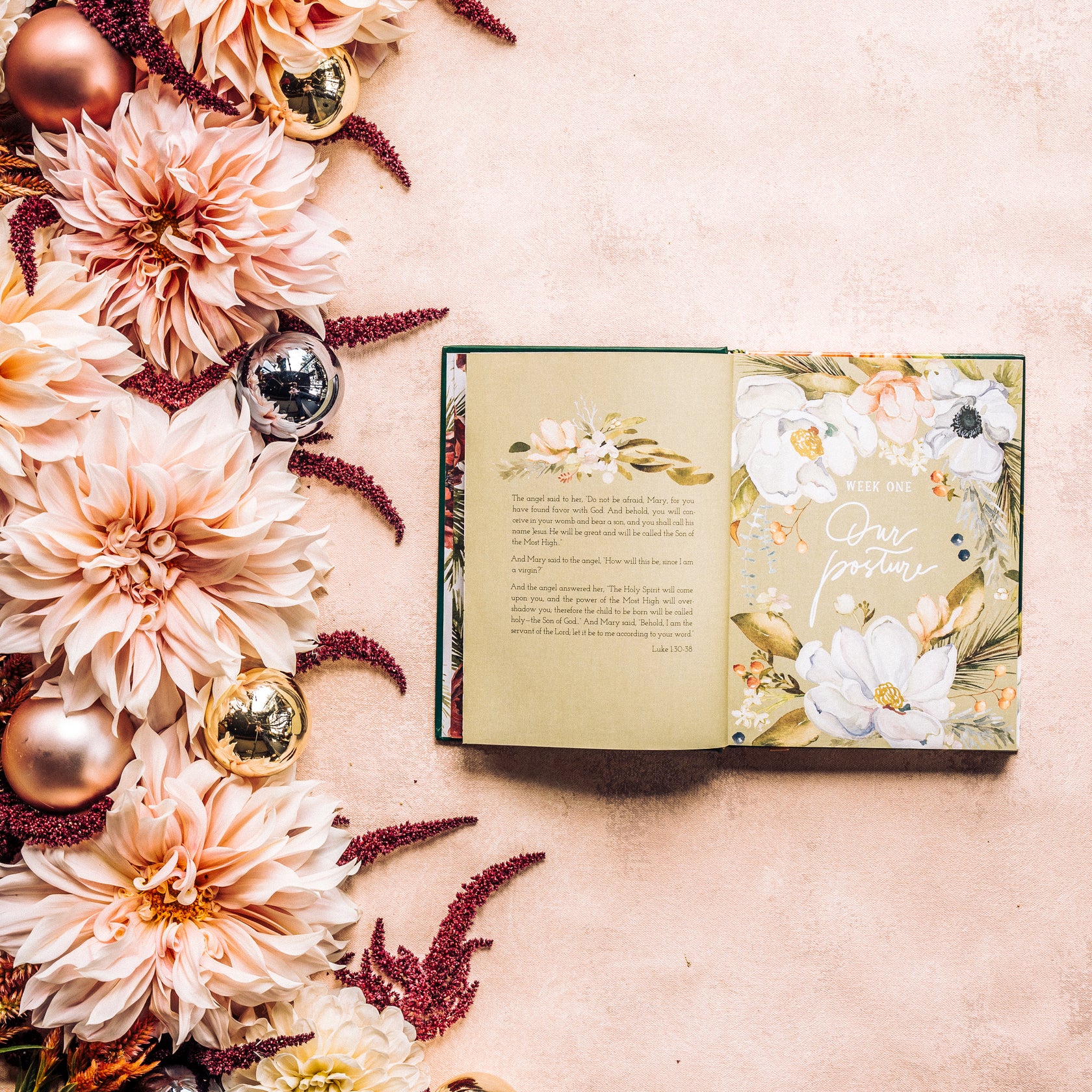 Emmanuel Book {Signed Copy} – GraceLaced